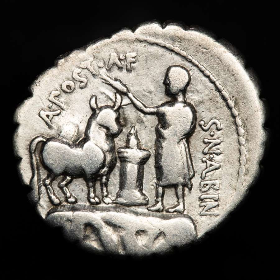 República romana, A. Postumius Albinus denario, Roma 81, Bucraneum ...